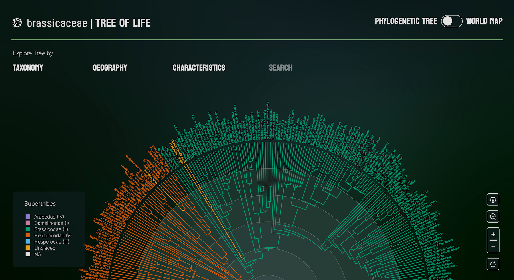 De Brassitol - CMD AMSTERDAM